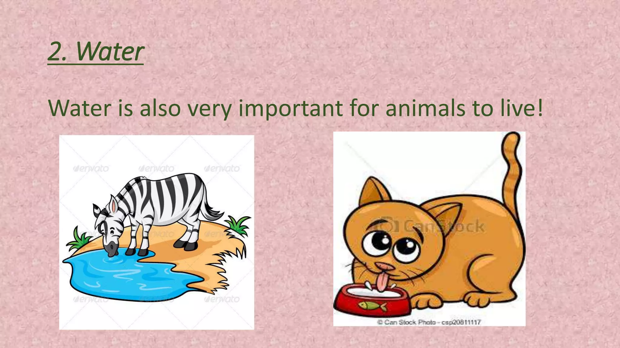 What do animals need to survive? | PPT