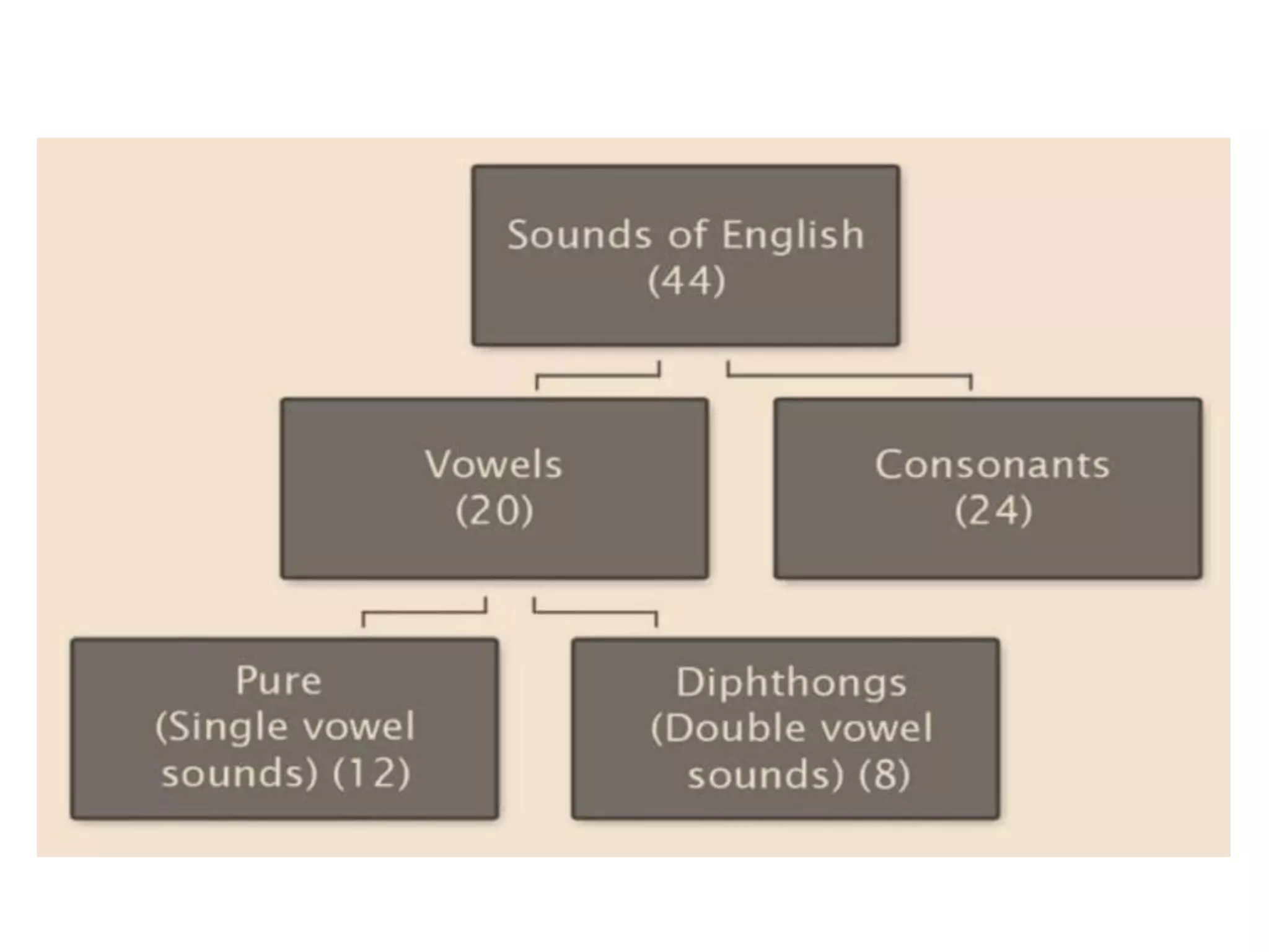 44 Sounds of English | PPTX
