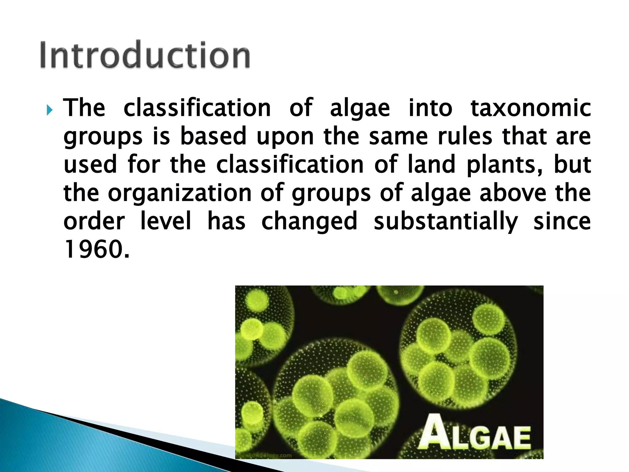 Algae | PPTX