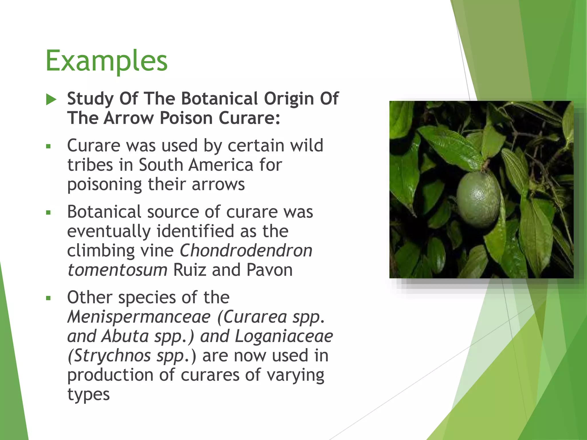 Ethnopharmacology | PPTX