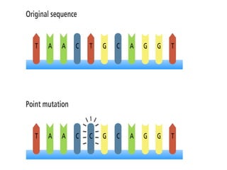 Zoology ppt in Mutation | PPTX