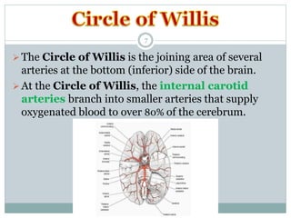blood supply of brain and spinal cord | PPTX