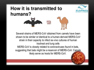 Coronavirus diease, Symptom & Prevention | PPT