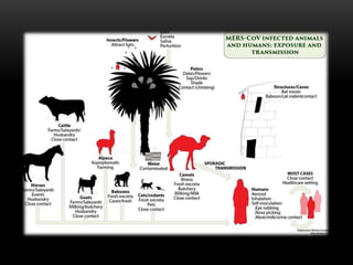 Coronavirus diease, Symptom & Prevention | PPT
