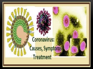 Coronavirus diease, Symptom & Prevention | PPT