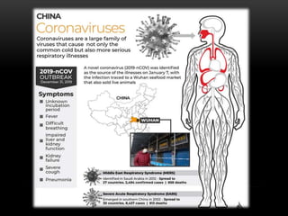 Coronavirus diease, Symptom & Prevention | PPT
