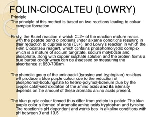 serum protein estimation | PPTX