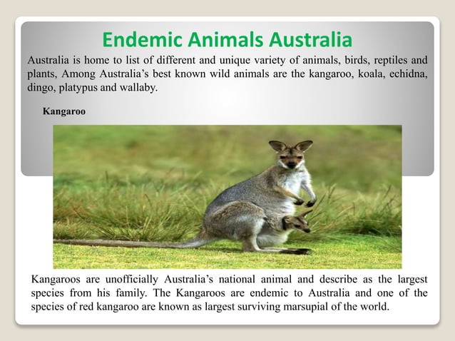 Endemic animals | PPT