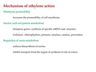 Ethylene | PPTX