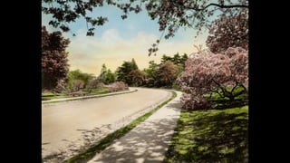 Artwork From Carter Angelo Art Gallery | PPTX