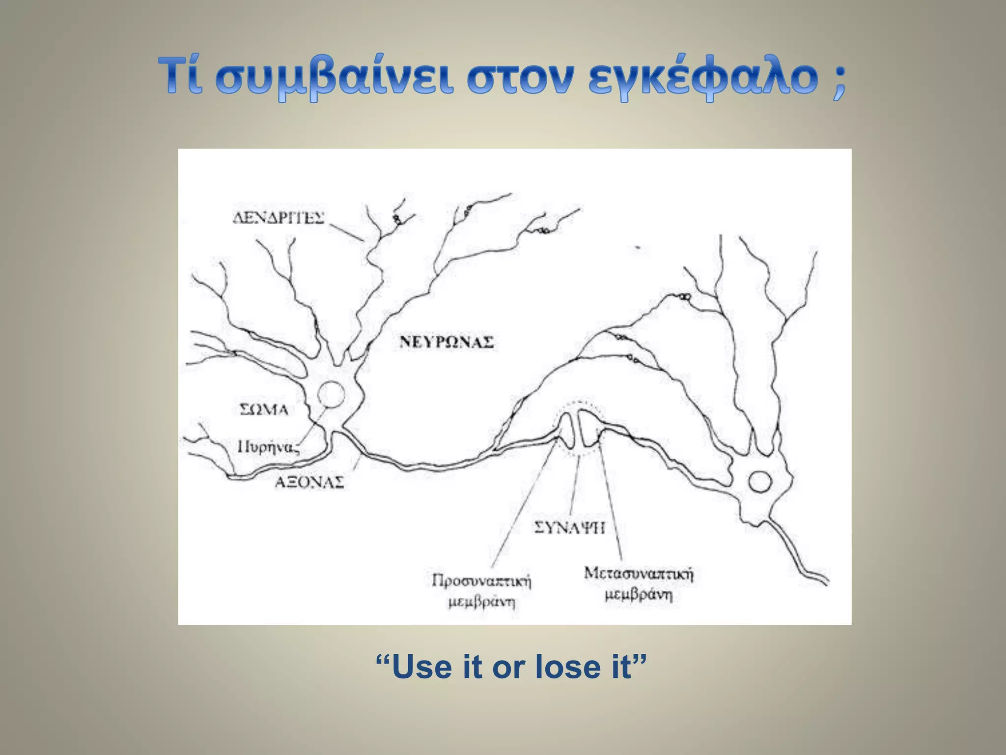 Presentation1 !! | PPTX