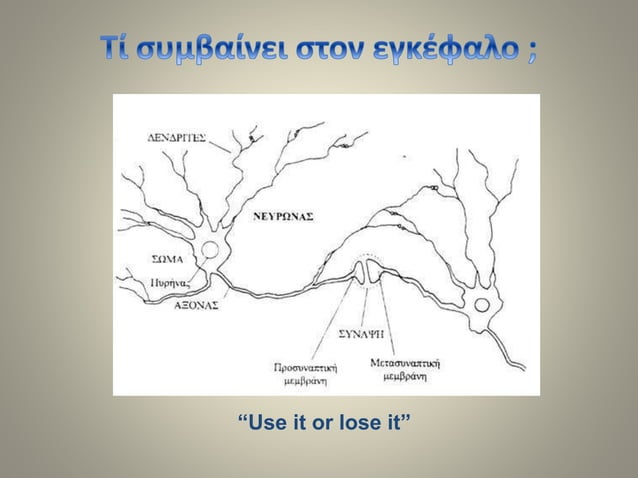 Presentation1 !! | PPT