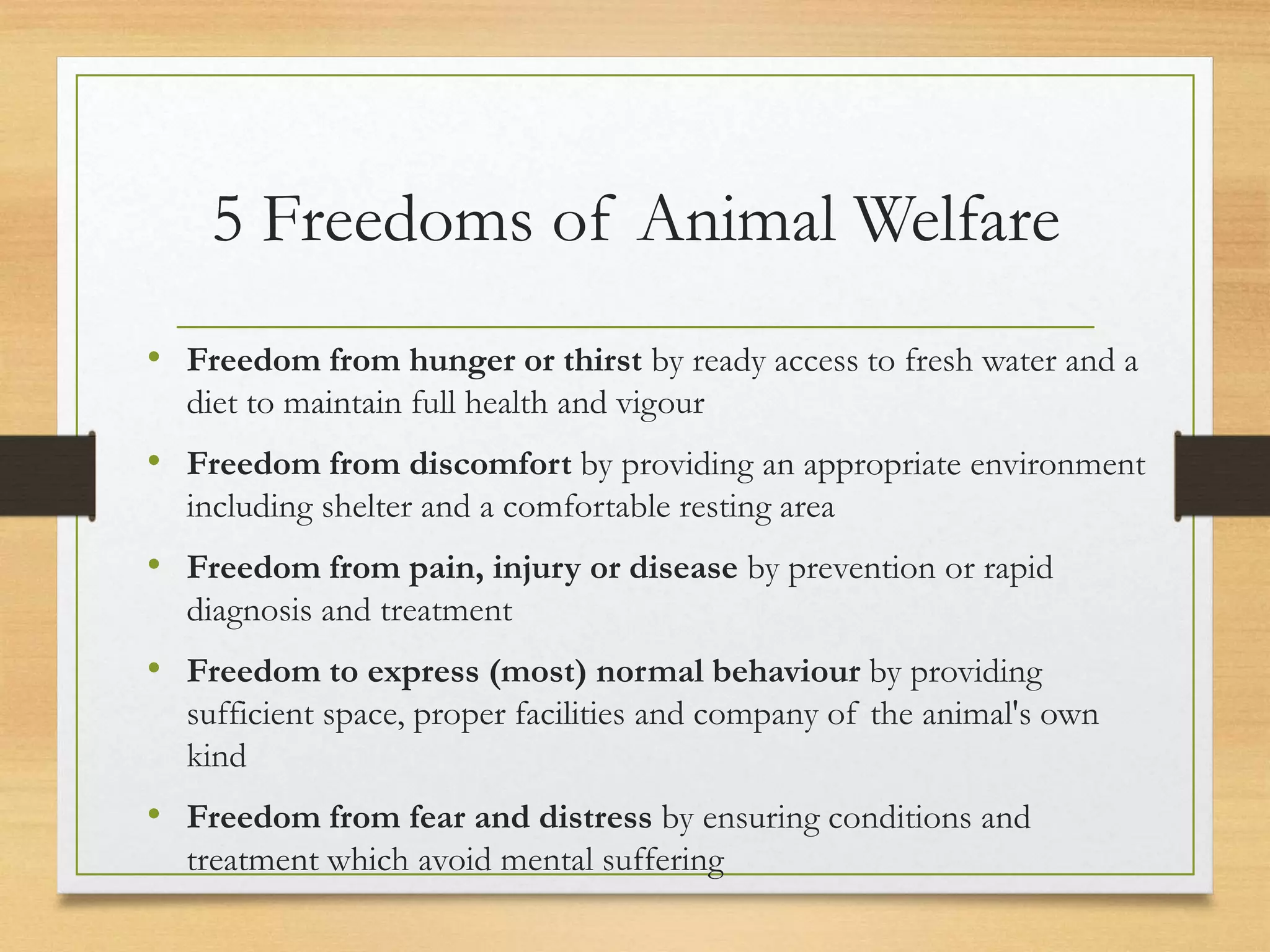 Institutional Animals Ethics Committee | PPTX