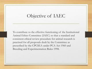 Institutional Animals Ethics Committee | PPTX