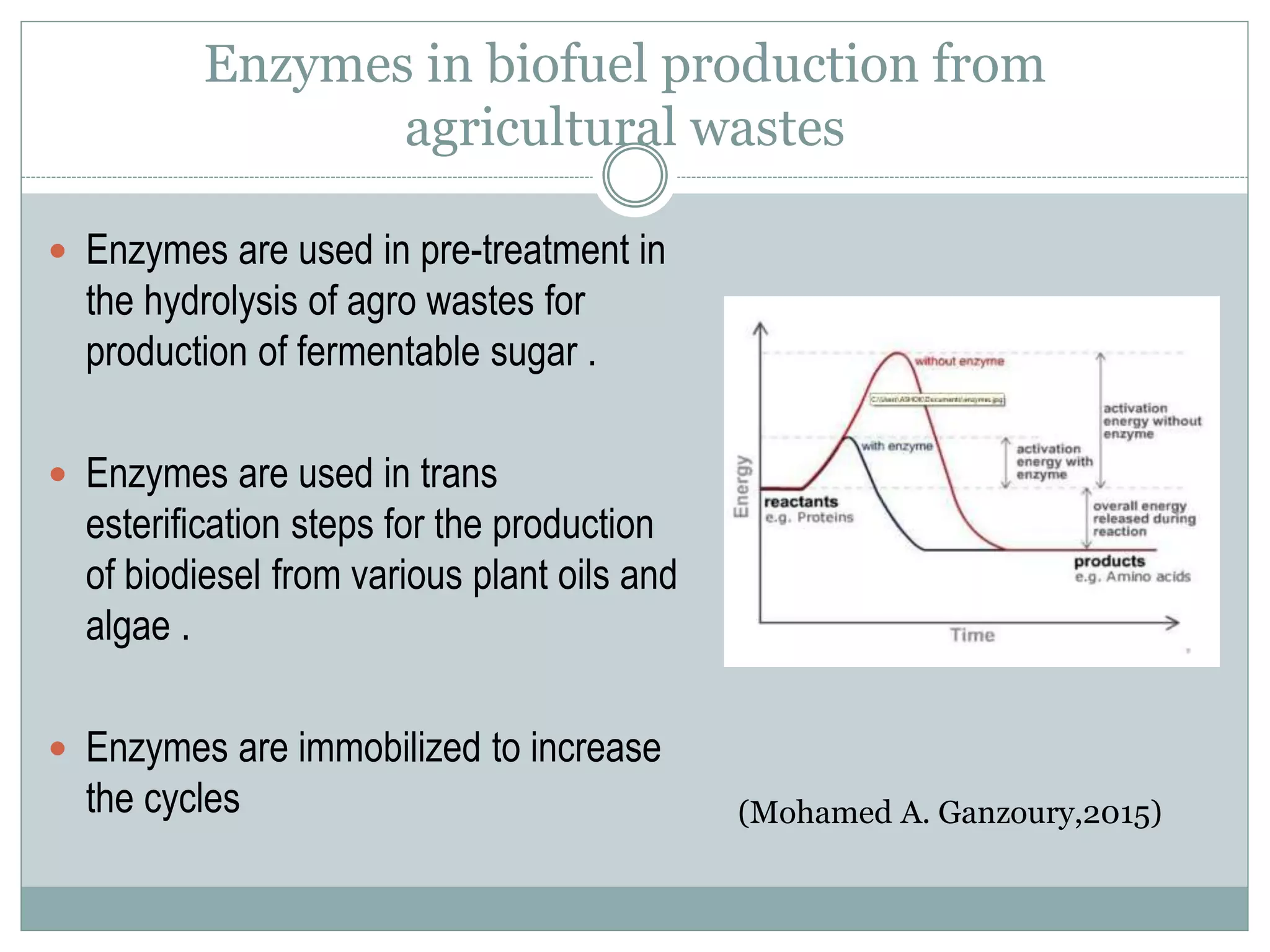 Nanotechnology in recycling of agricultural wastes | PPTX