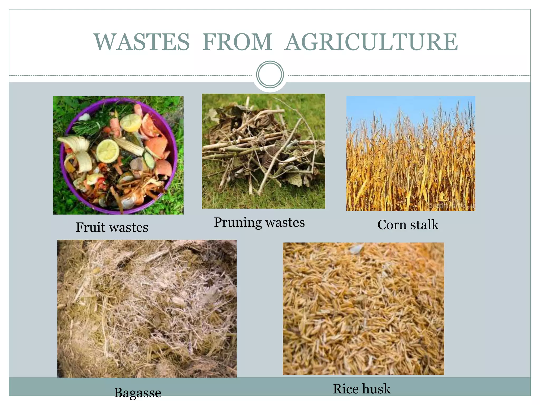 Nanotechnology in recycling of agricultural wastes | PPTX