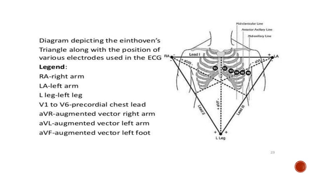 ECG- Leads and technical aspects of ecg | PPT