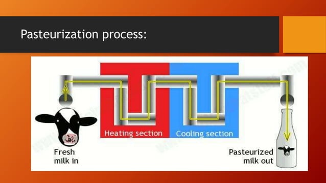 pasteurization recap | PPTX