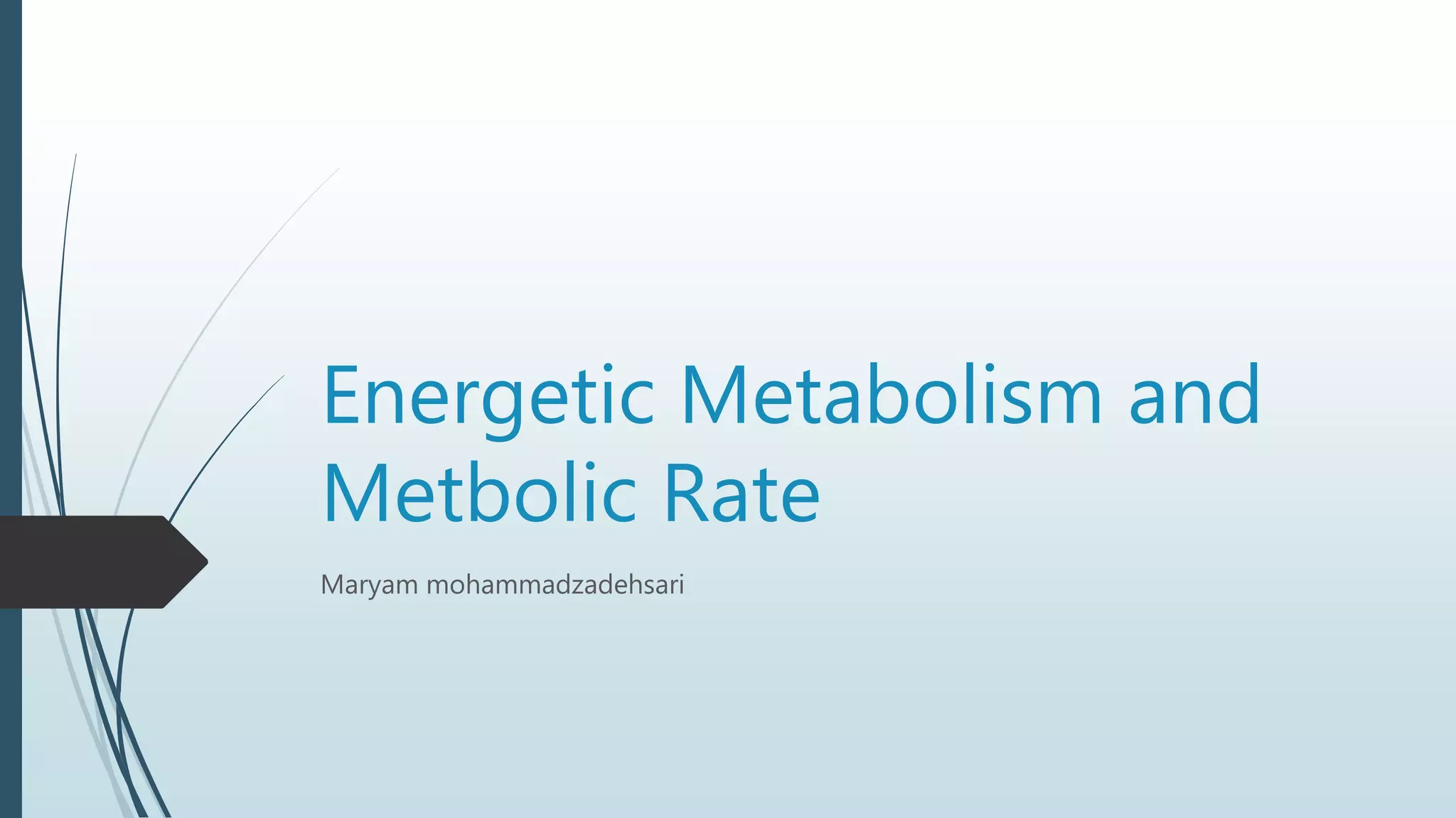 metabolic Rate | PPTX