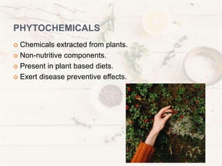 herbs, food and phytochemicals | PPTX