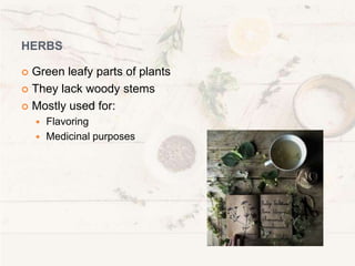 herbs, food and phytochemicals | PPTX