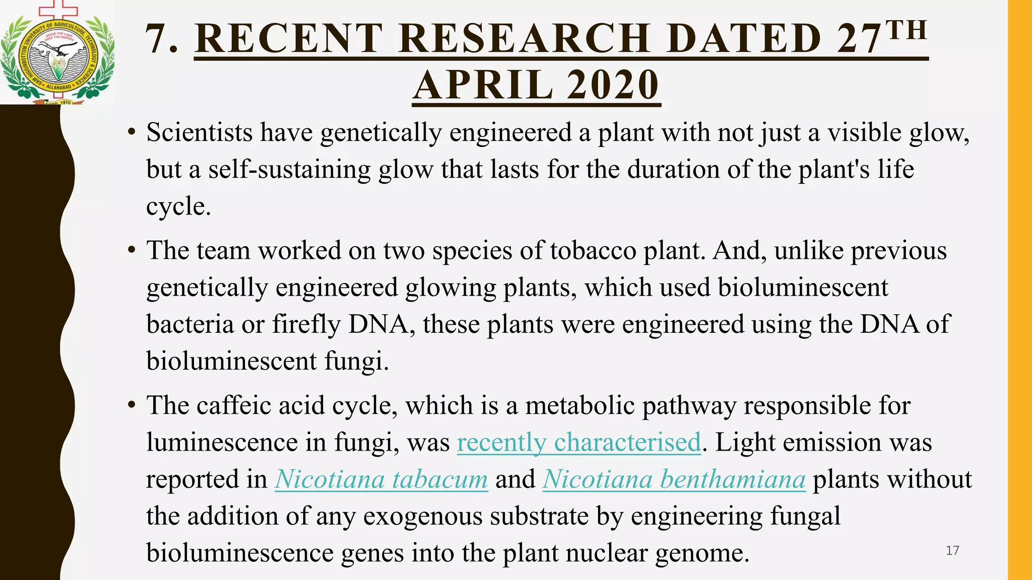 BIOLUMINESCENCE IN PLANTS | PPTX
