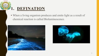 BIOLUMINESCENCE IN PLANTS | PPTX