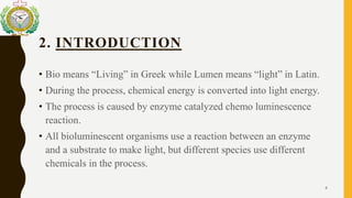 BIOLUMINESCENCE IN PLANTS | PPTX