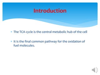 TCA cycle 1 | PPTX | Endocrine and Metabolic Diseases | Diseases and ...