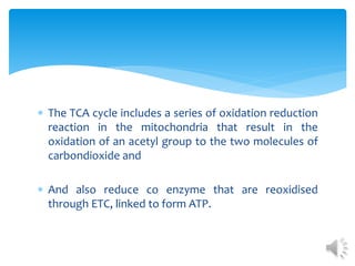 TCA cycle 1 | PPTX | Endocrine and Metabolic Diseases | Diseases and ...