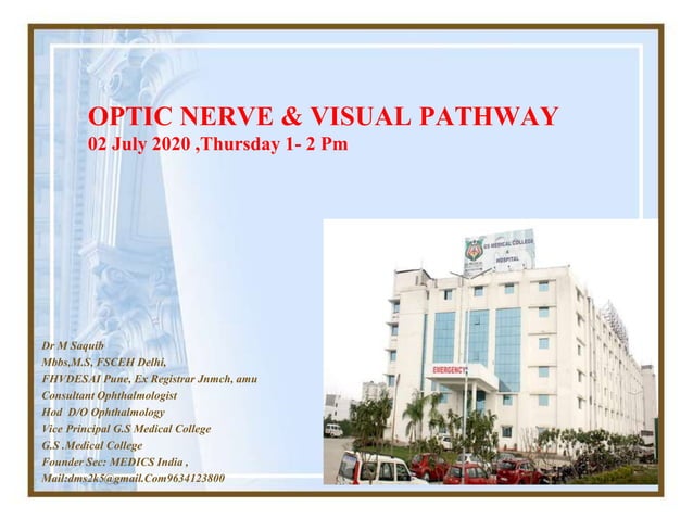 OPTIC NERVE & VISUAL PATHWAY | PPTX | Eye and Vision Conditions | Diseases and Conditions