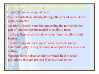 OPTIC NERVE & VISUAL PATHWAY | PPTX