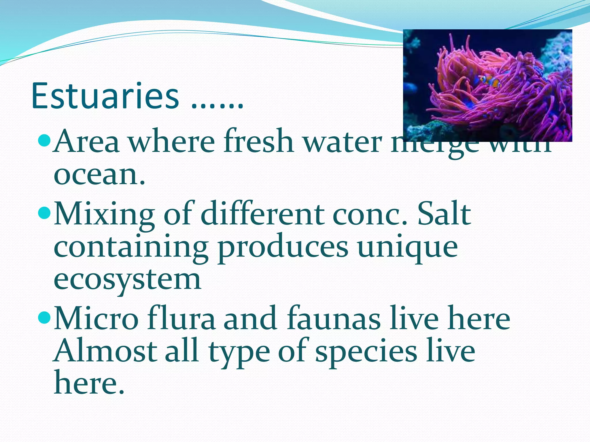 Biome, Aquatic Biome, Classification | PPTX