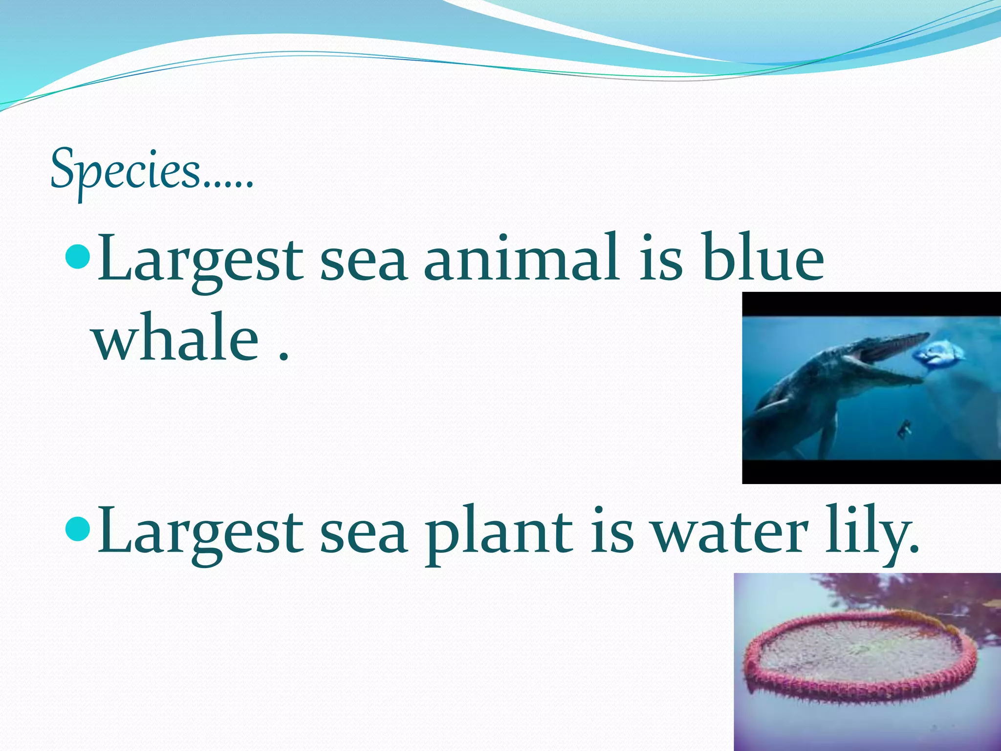 Biome, Aquatic Biome, Classification | PPTX