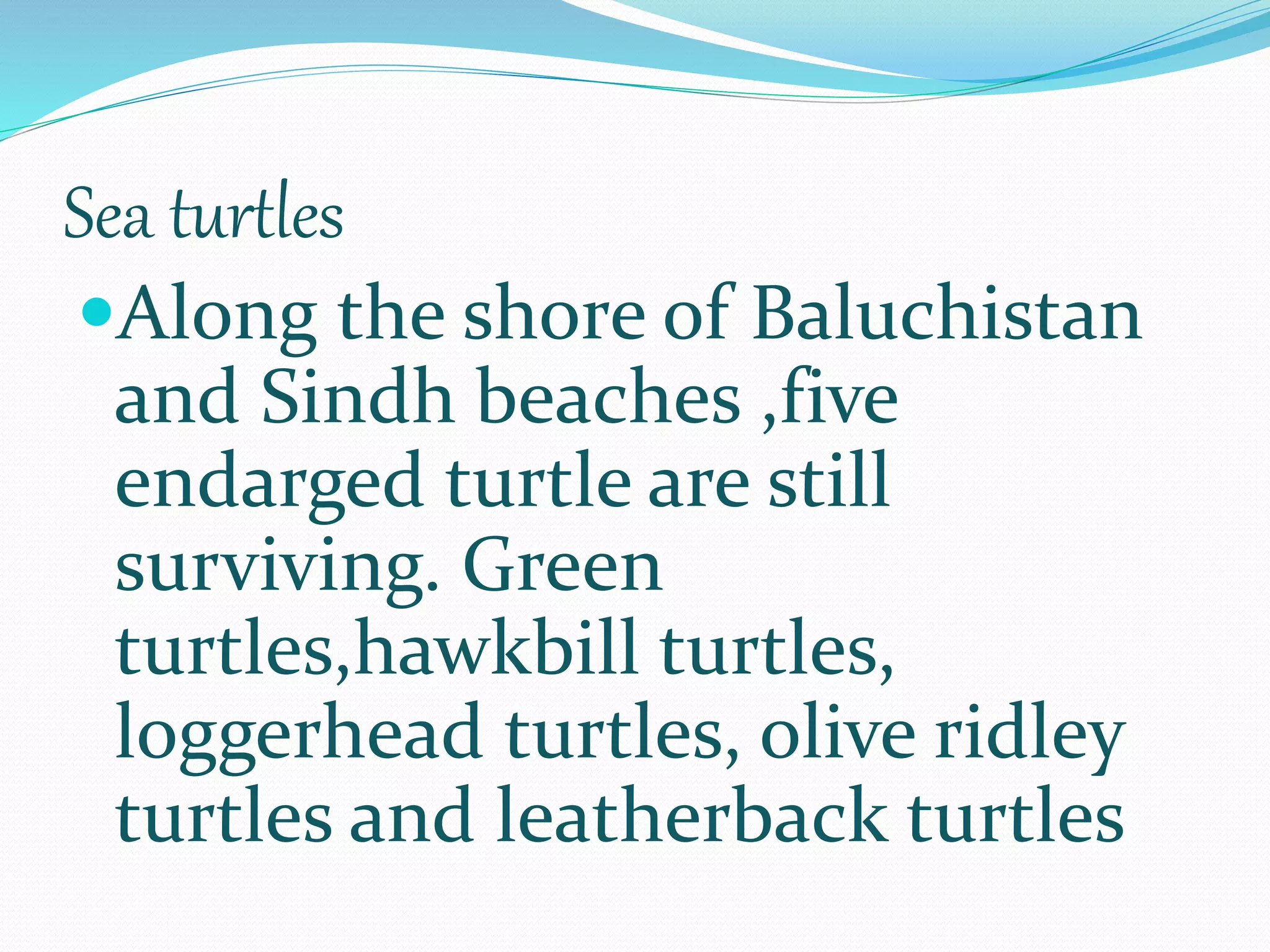 Biome, Aquatic Biome, Classification | PPTX