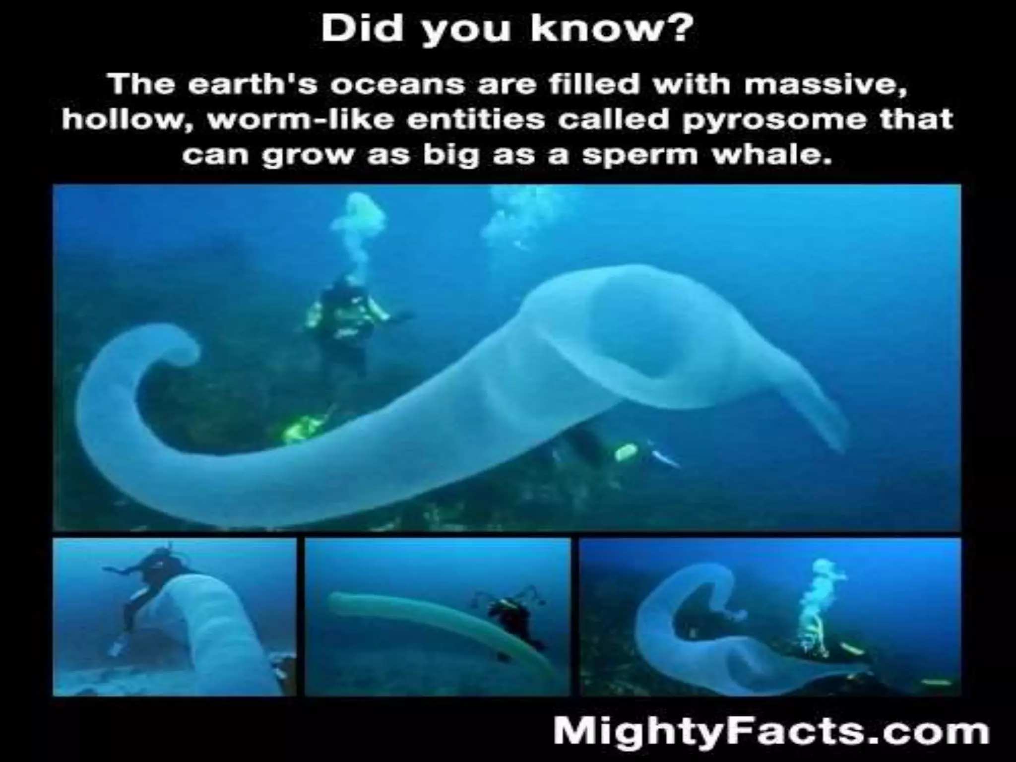 Biome, Aquatic Biome, Classification | PPTX