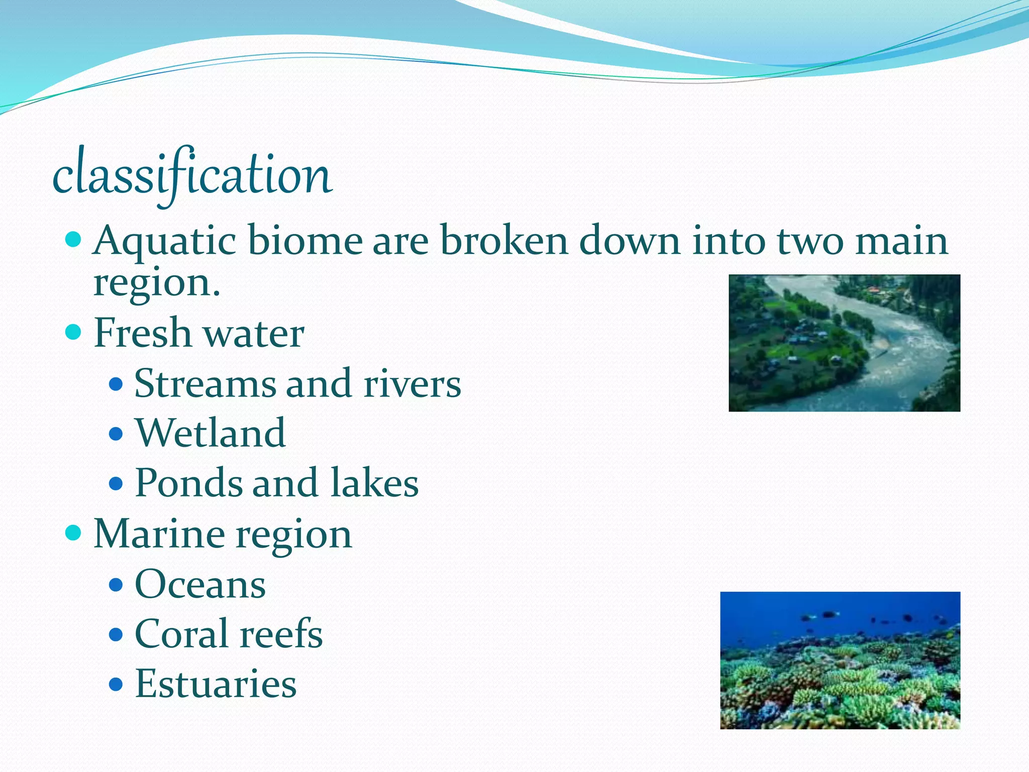 Biome, Aquatic Biome, Classification | PPTX