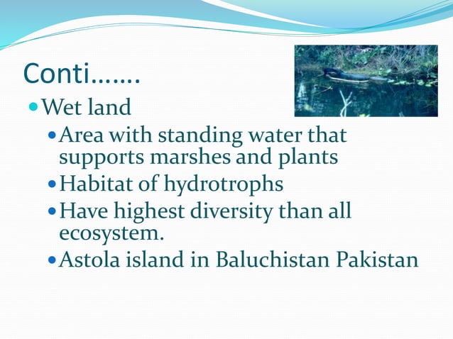 Biome, Aquatic Biome, Classification | PPTX