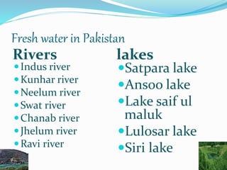 Biome, Aquatic Biome, Classification | PPTX
