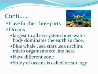 Biome, Aquatic Biome, Classification | PPTX