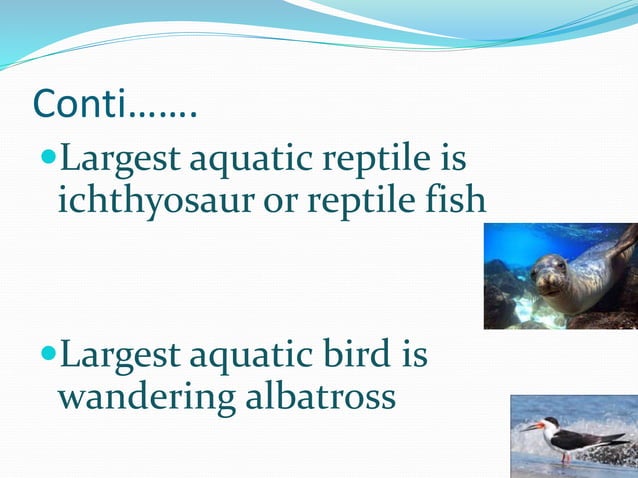 Biome, Aquatic Biome, Classification | PPTX