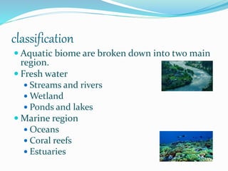 Biome, Aquatic Biome, Classification | PPTX