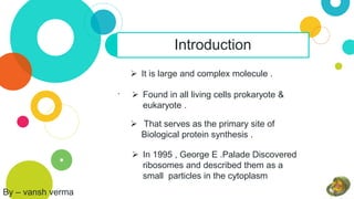 Ribosomes | PPTX