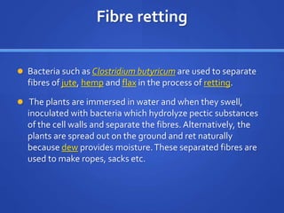 Gains due to bacteria | PPTX