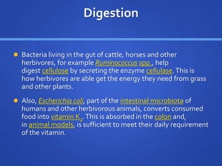 Gains due to bacteria | PPTX