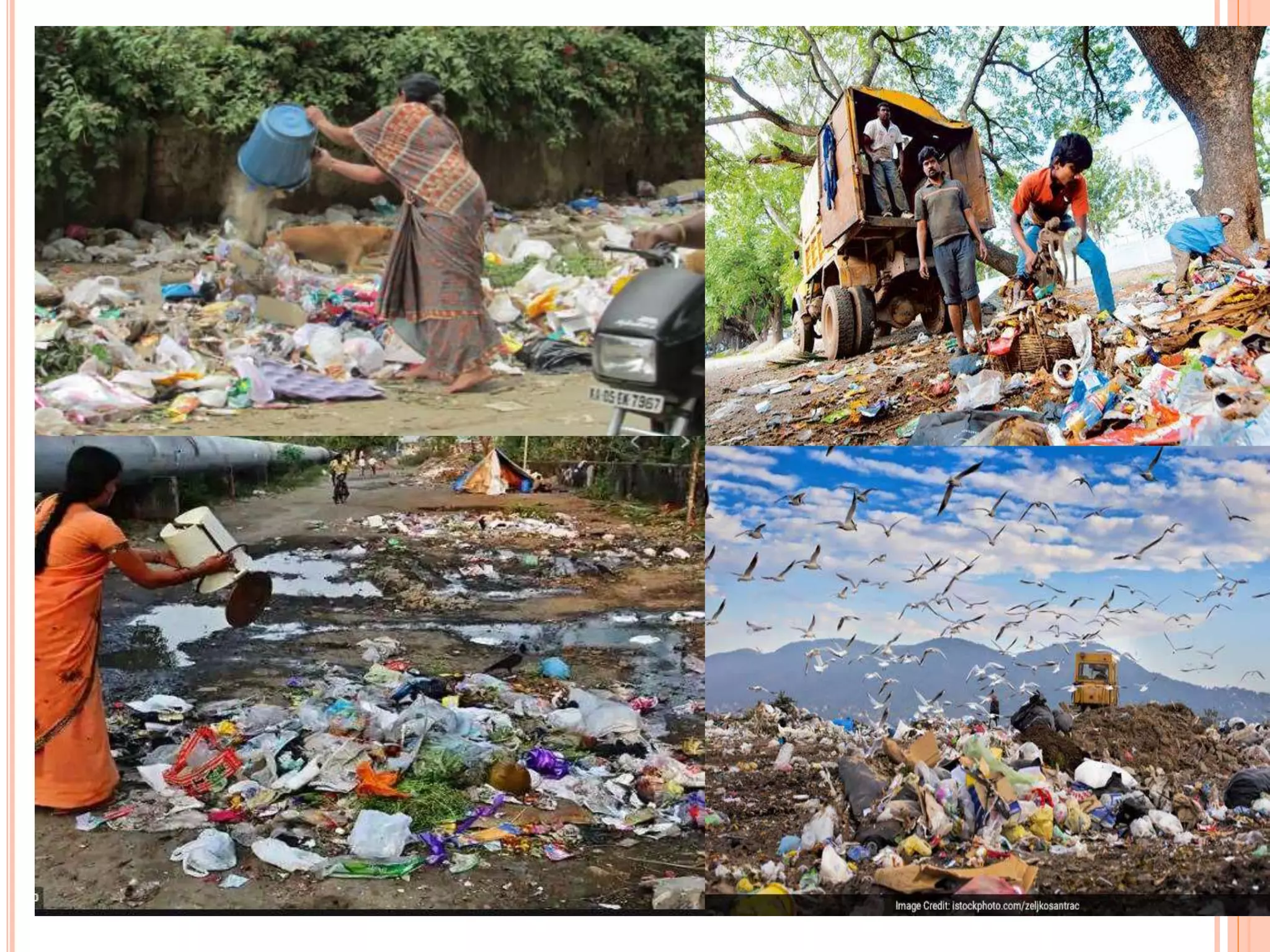 solid waste management | PPTX