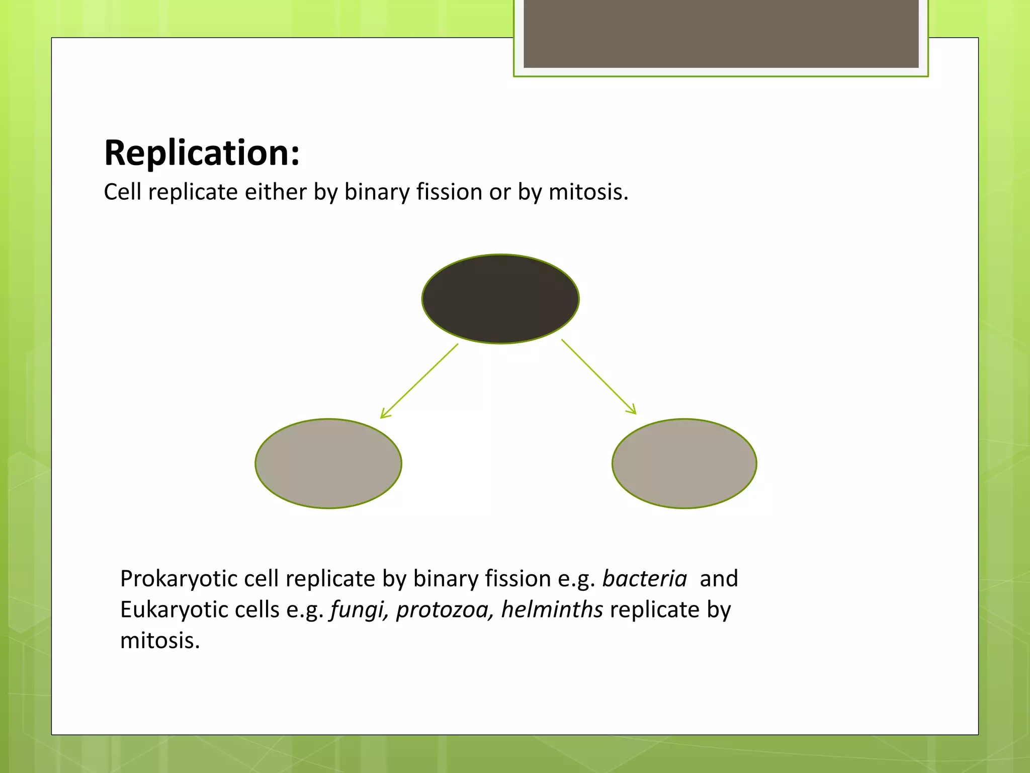 Basic Bacteriology | PPTX