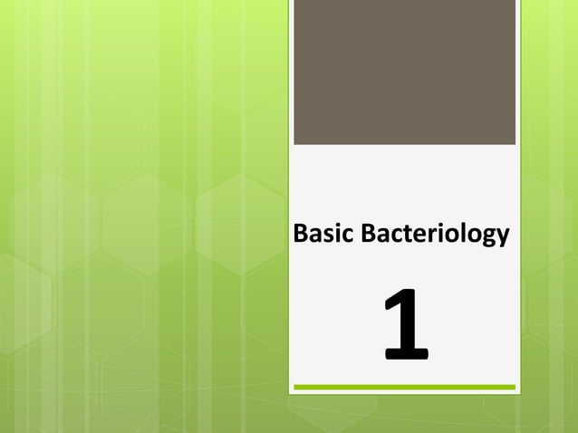 Basic Bacteriology | PPTX | Biological Sciences | Science
