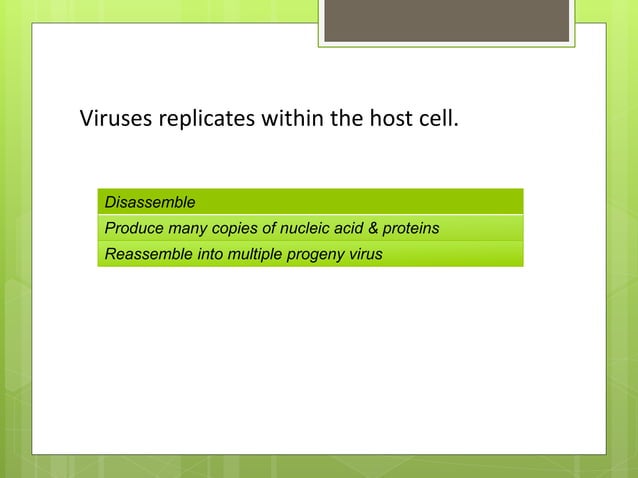 Basic Bacteriology | PPTX | Biological Sciences | Science