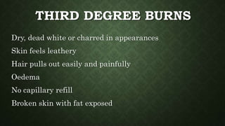 A detailed study on burns /all about burns ( manag, treat, preven ...
